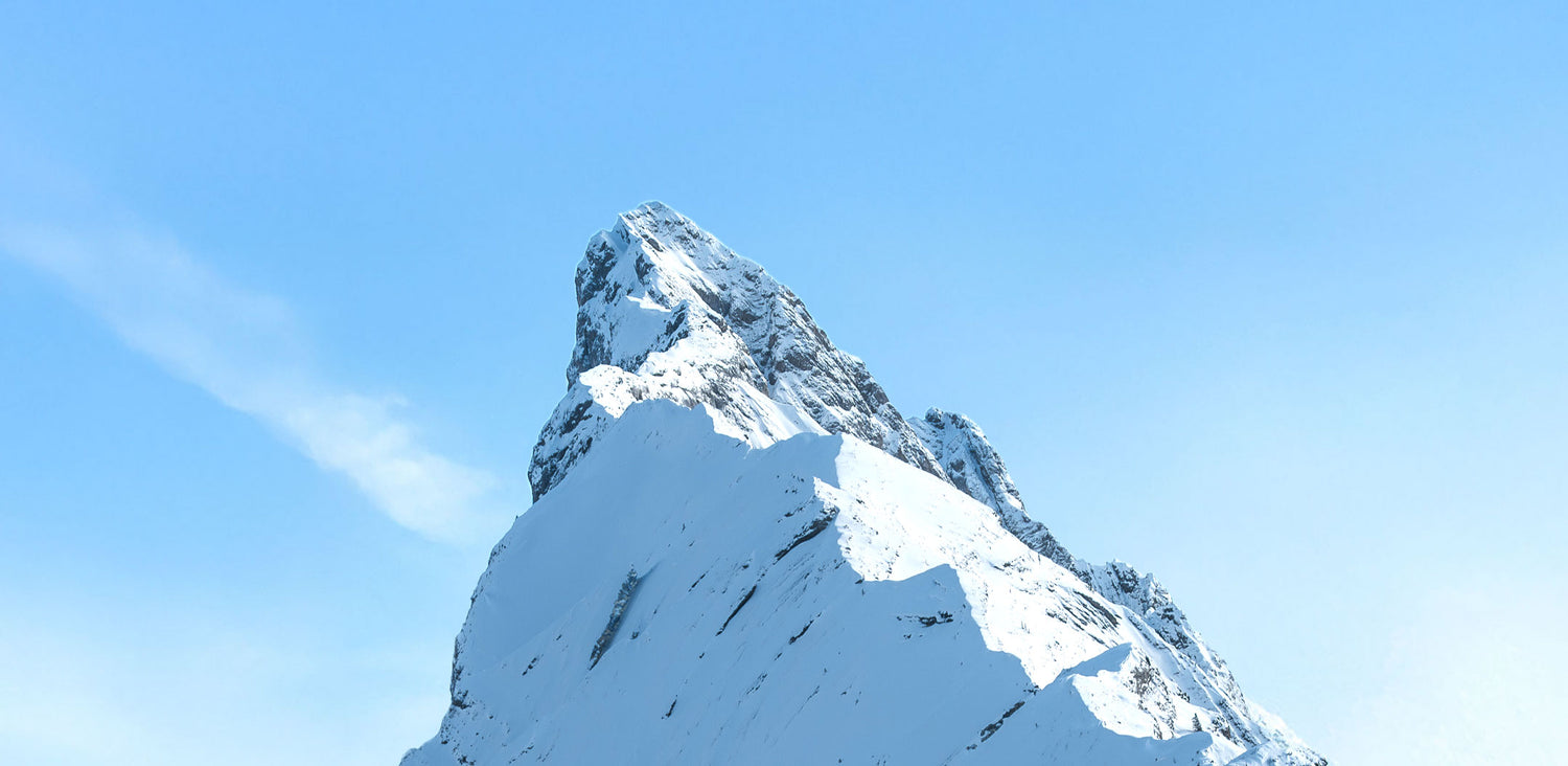 NORTH Contact Page
